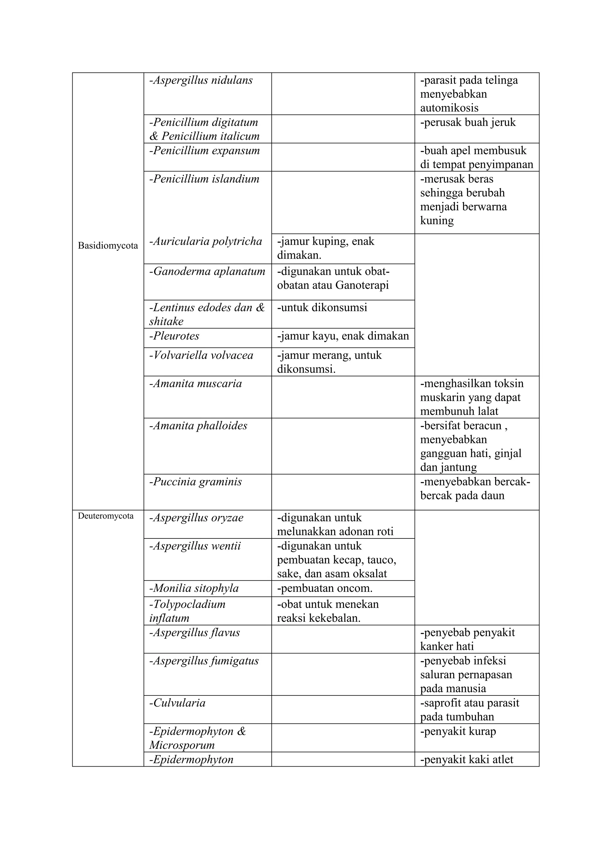 Tugas peranan jamur | DOCX