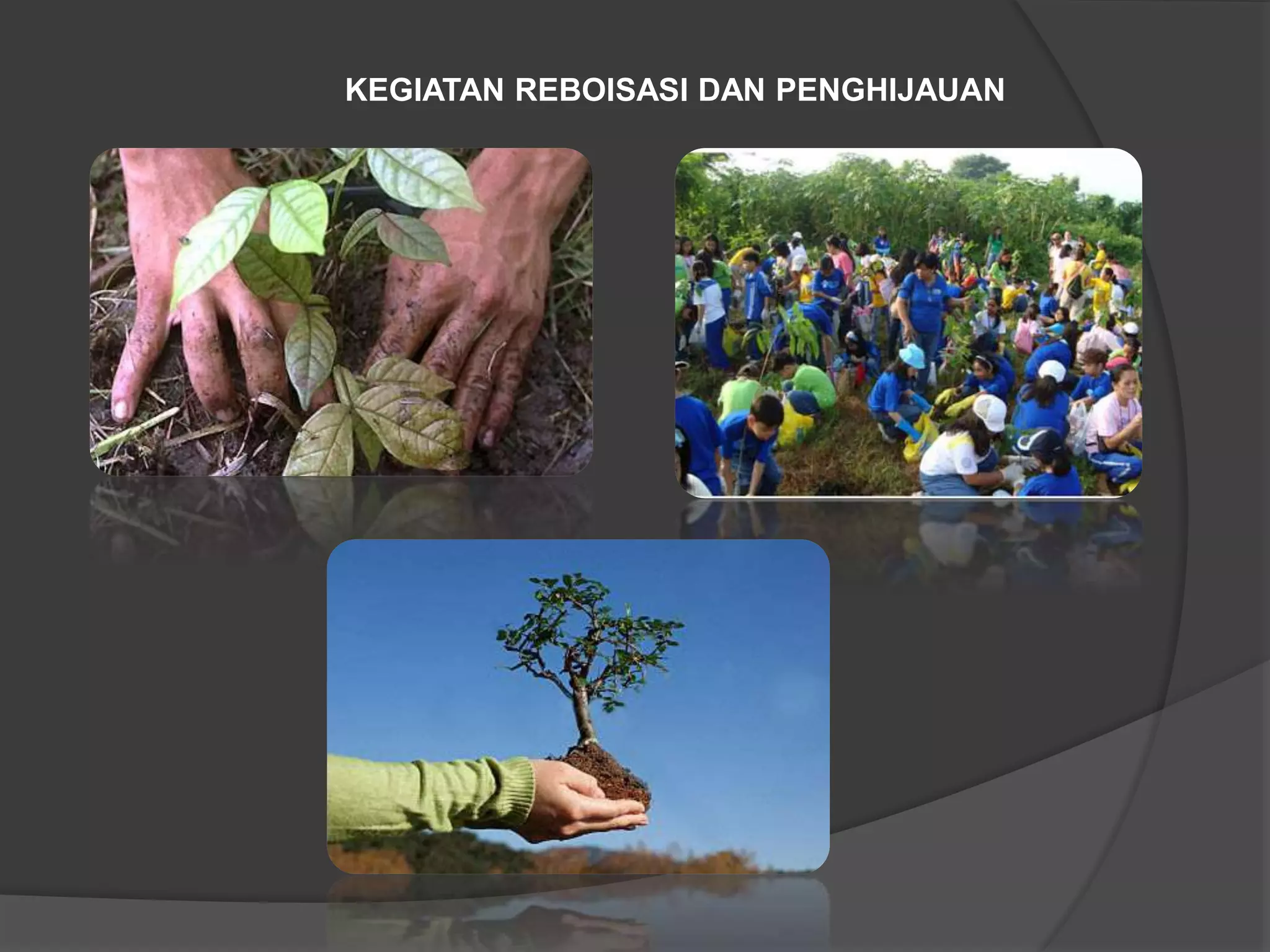 REBOISASI DAN PENGHIJAUAN | PPTX