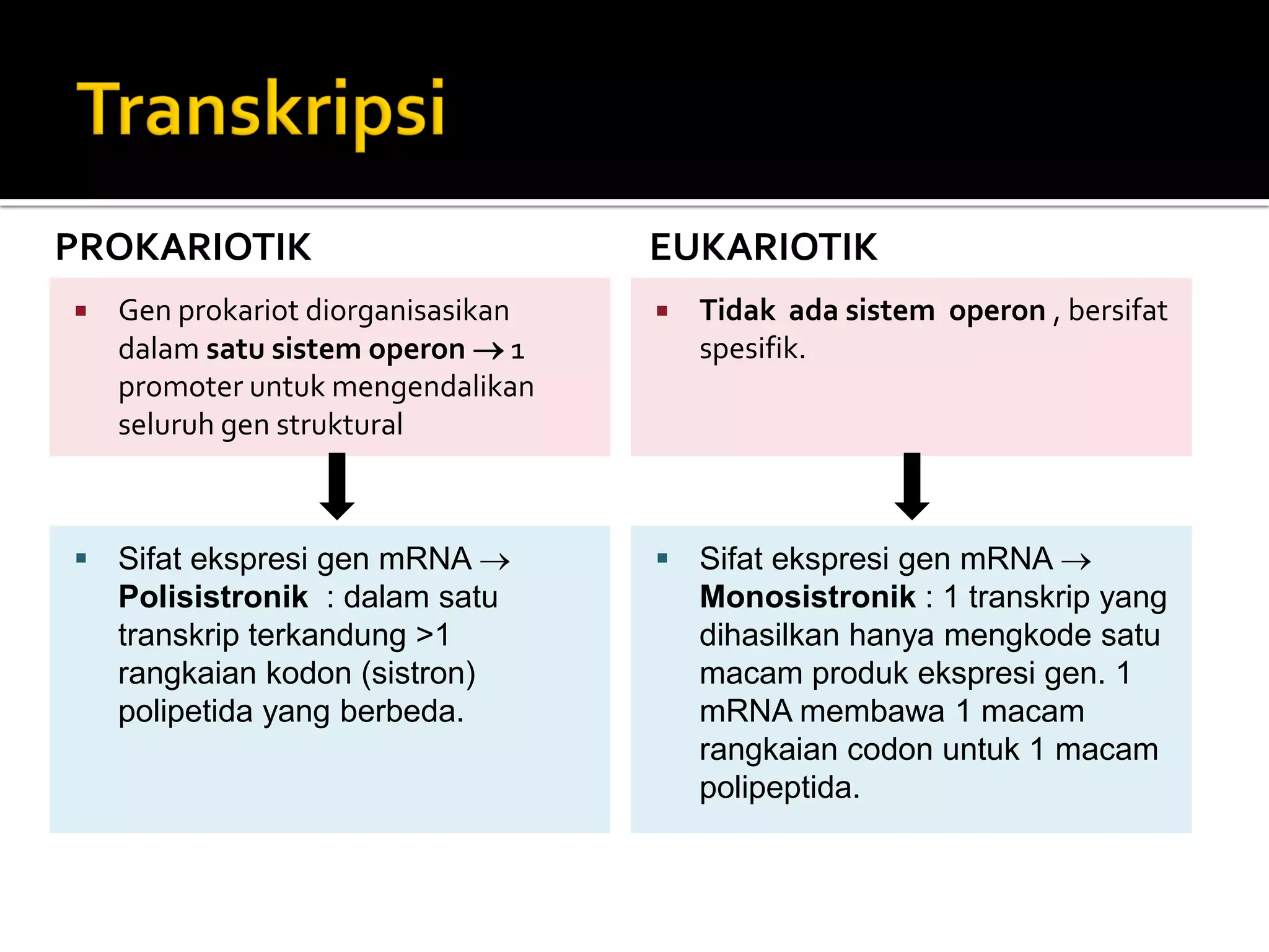 Perbedaan proses transkripsi&translasi pada sel prokariot dan eukariot ...