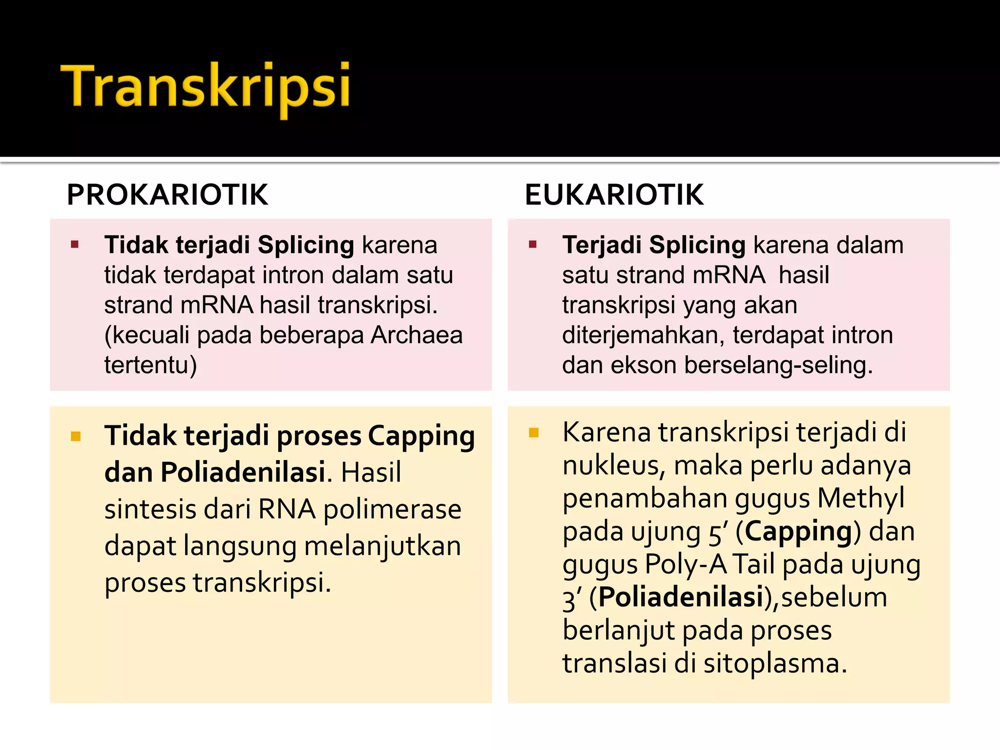 Perbedaan proses transkripsi&translasi pada sel prokariot dan eukariot ...