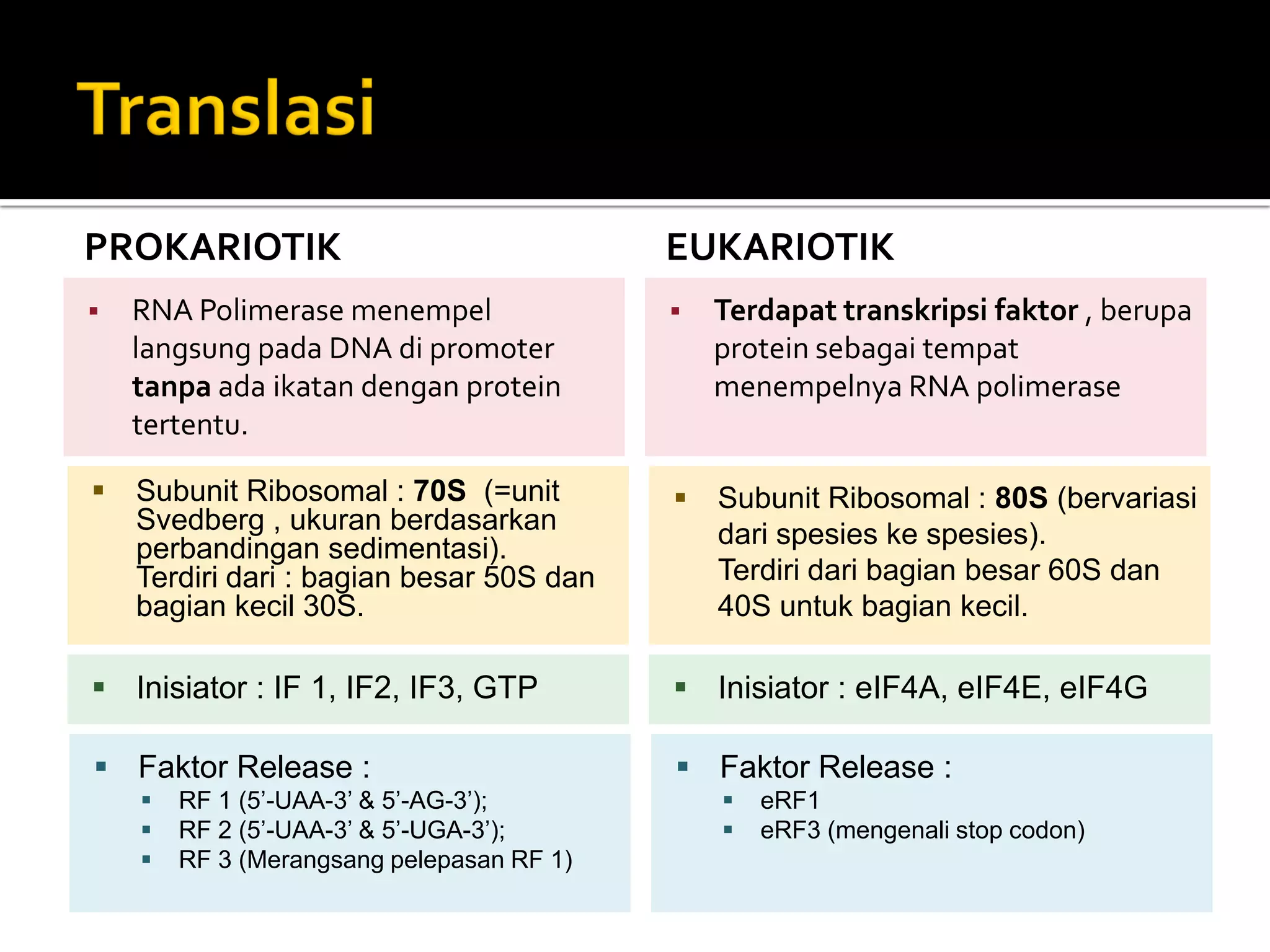 Perbedaan proses transkripsi&translasi pada sel prokariot dan eukariot ...
