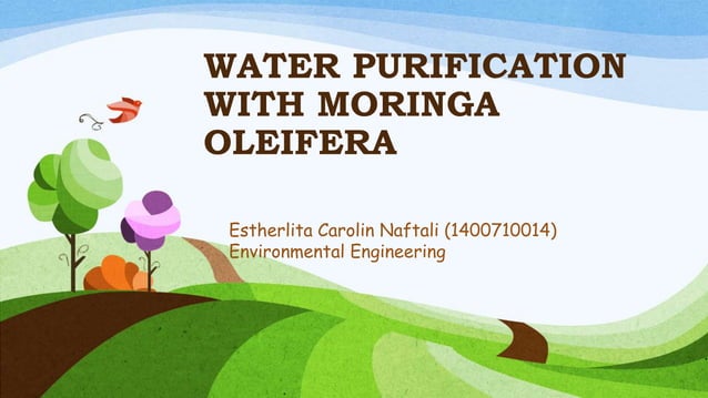 WATER PURIFICATION WITH MORINGA OLEIFERA | PPTX | Chemistry | Science