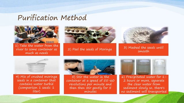 WATER PURIFICATION WITH MORINGA OLEIFERA | PPTX | Chemistry | Science