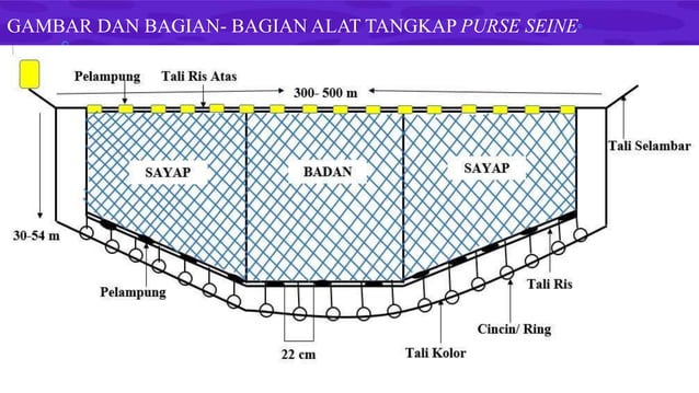 Mengenal Alat Tangkap Purse Seine/ Pukat Cincin (By. Maryoko) | PPT
