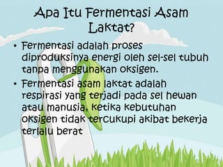 Tugas ppt fermentasi asam laktat | PPTX