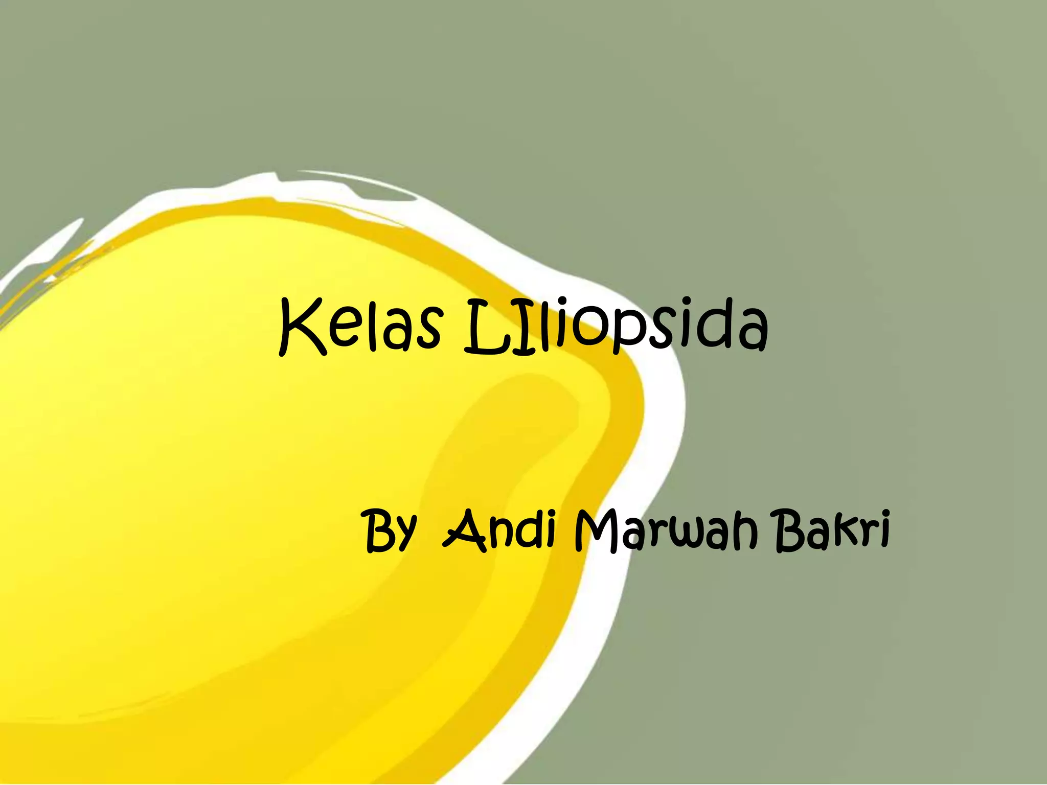 Tugas ppt tumbuhan tingkat tinggi kelas liliopsida | PPTX