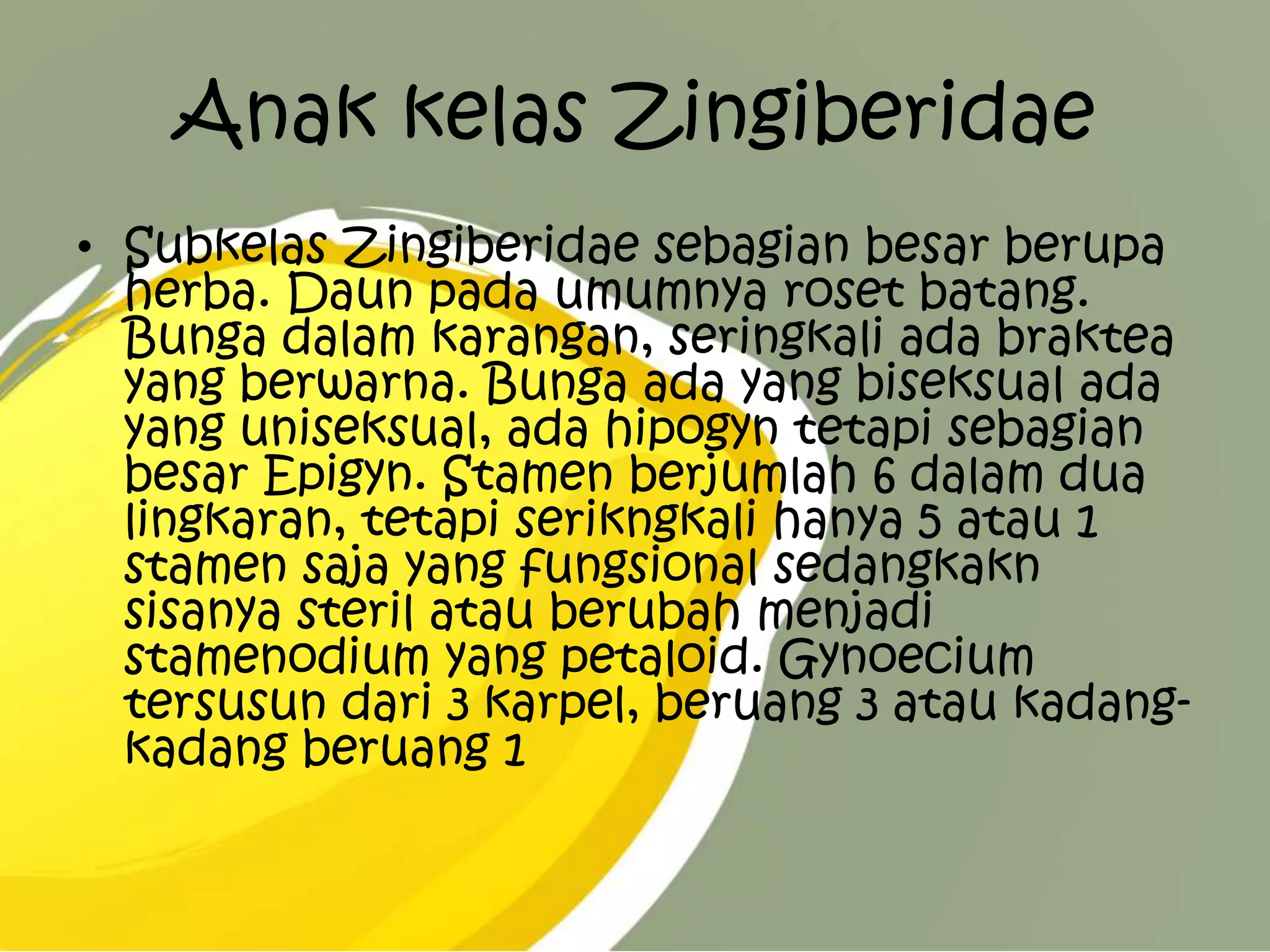 Tugas ppt tumbuhan tingkat tinggi kelas liliopsida | PPTX