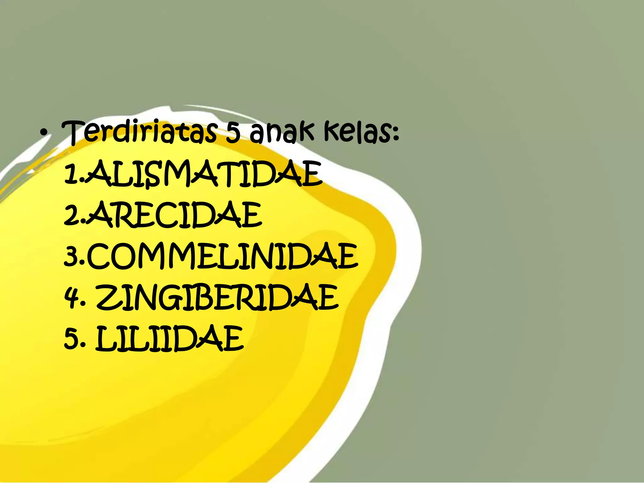 Tugas ppt tumbuhan tingkat tinggi kelas liliopsida | PPTX