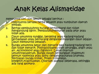 Tugas ppt tumbuhan tingkat tinggi kelas liliopsida | PPTX