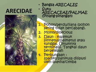 Tugas ppt tumbuhan tingkat tinggi kelas liliopsida | PPTX