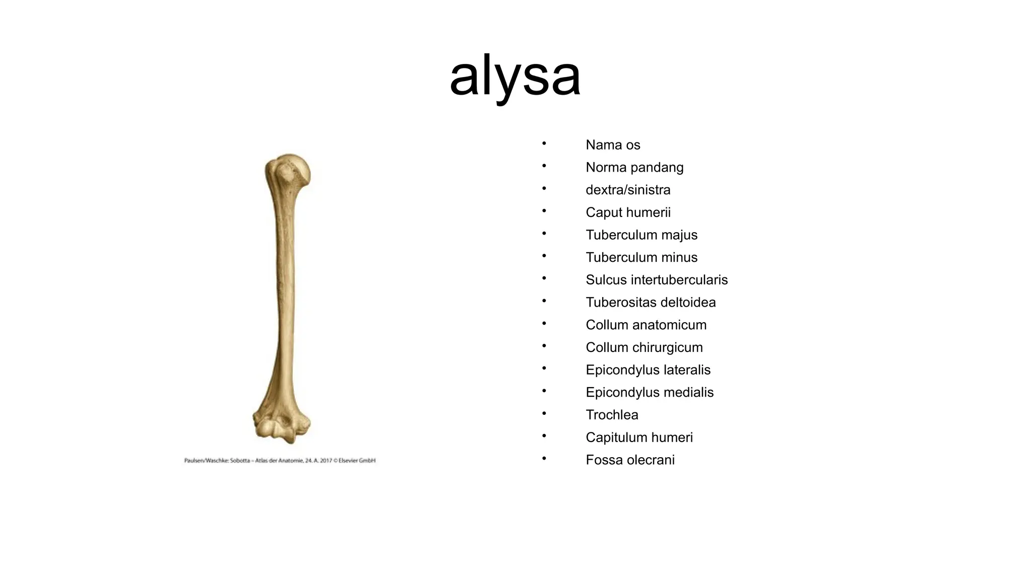 osteologi arhtrologi anatomi, skeletal, skeleton | PPTX