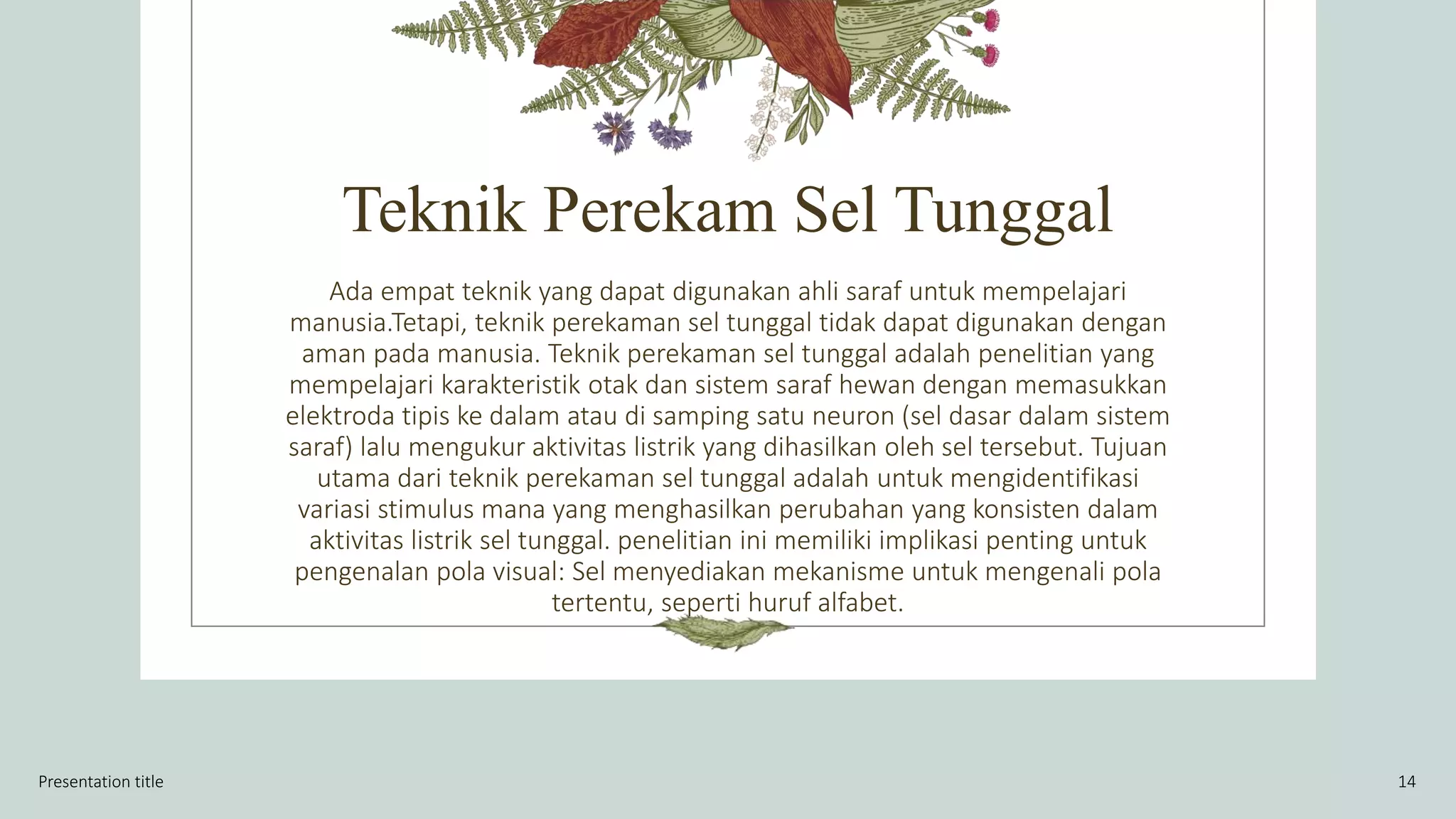 tugas presentasi 1 MK psikologi kognitif.pptx