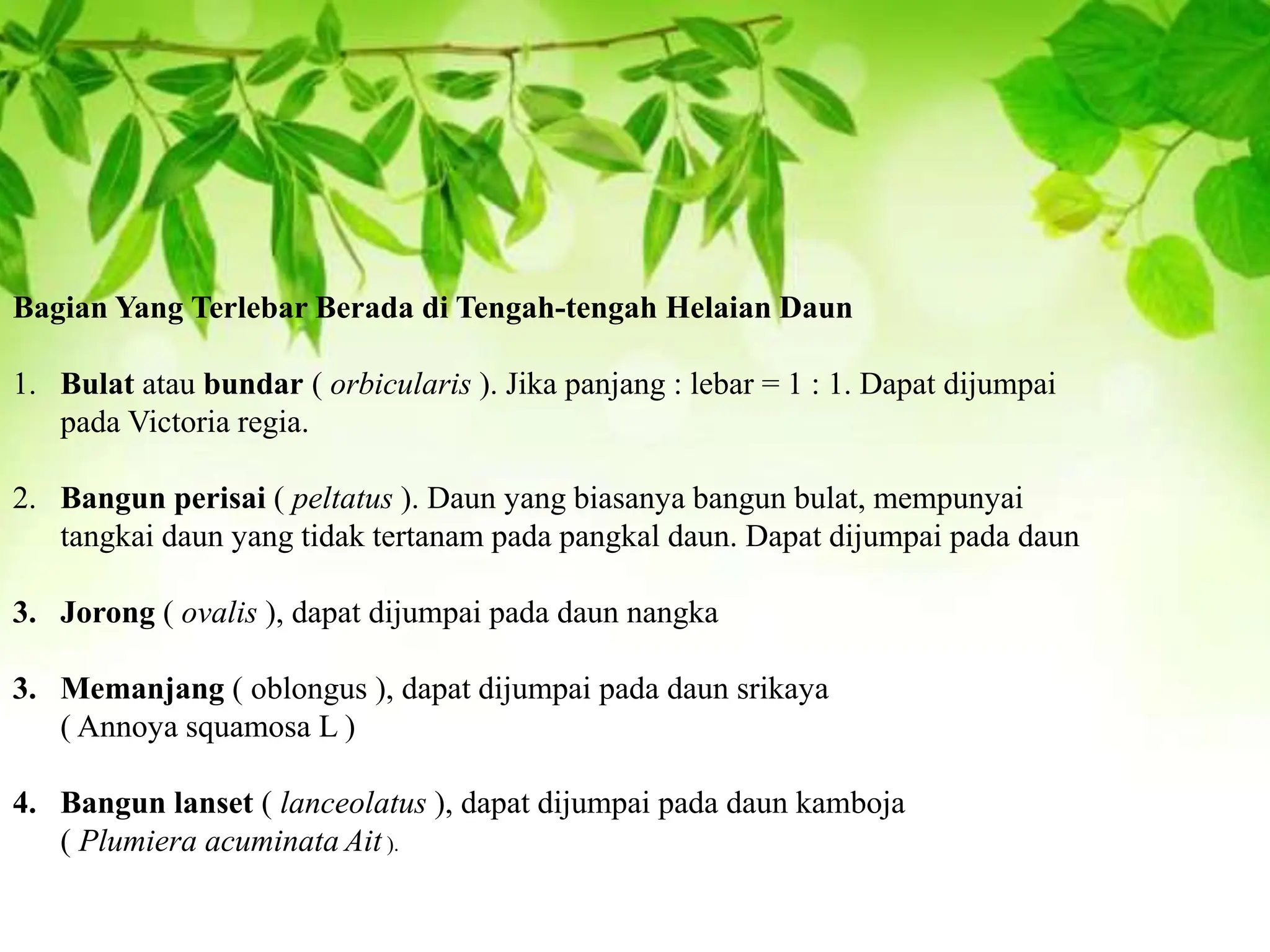 Tugas presentasi kelompok 6.pptx
