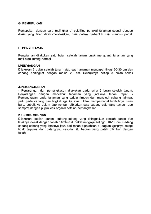 Tugas prtn nilam dan tebuh | PDF