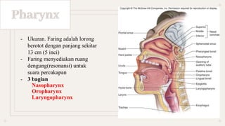Tugas Respiratori_Nurinayah.pptx