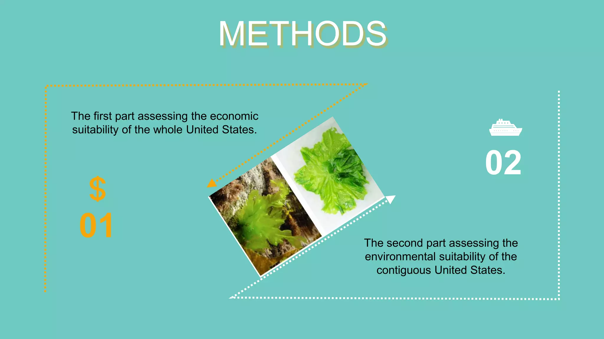 Development of A Suitability Macroalgae (Geddie 2019) | PPT