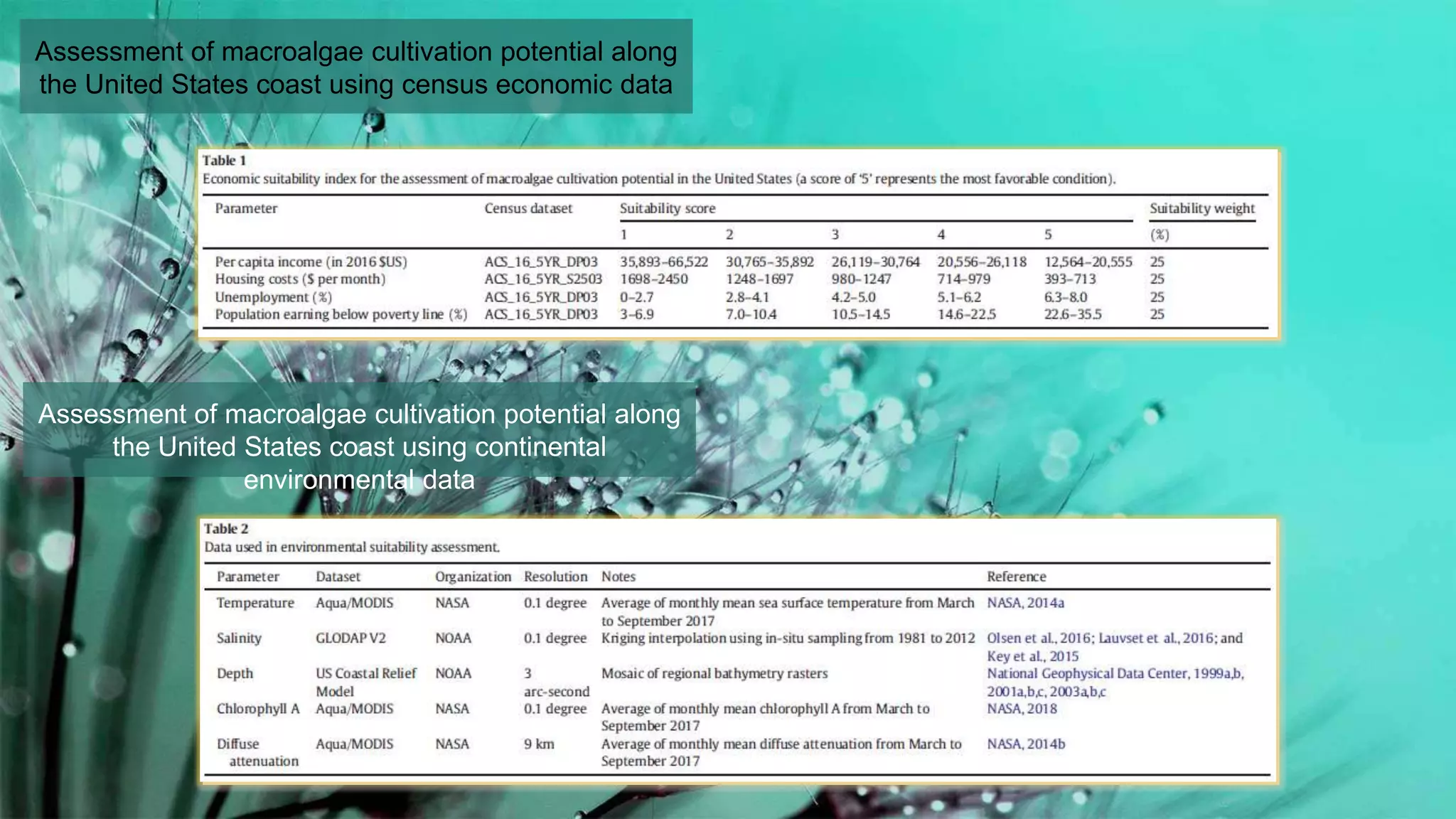 Development of A Suitability Macroalgae (Geddie 2019) | PPT