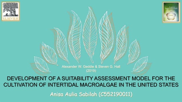 Development of A Suitability Macroalgae (Geddie 2019) | PPT