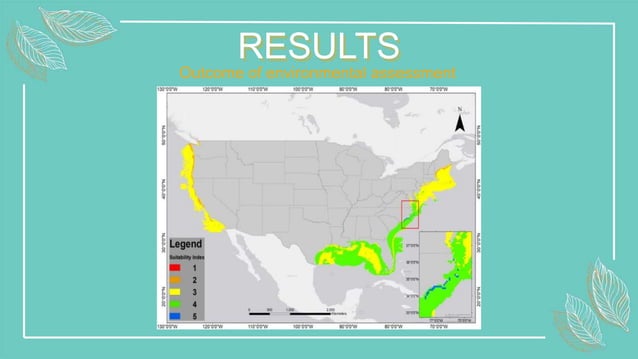 Development of A Suitability Macroalgae (Geddie 2019) | PPT