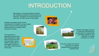 Development of A Suitability Macroalgae (Geddie 2019) | PPT