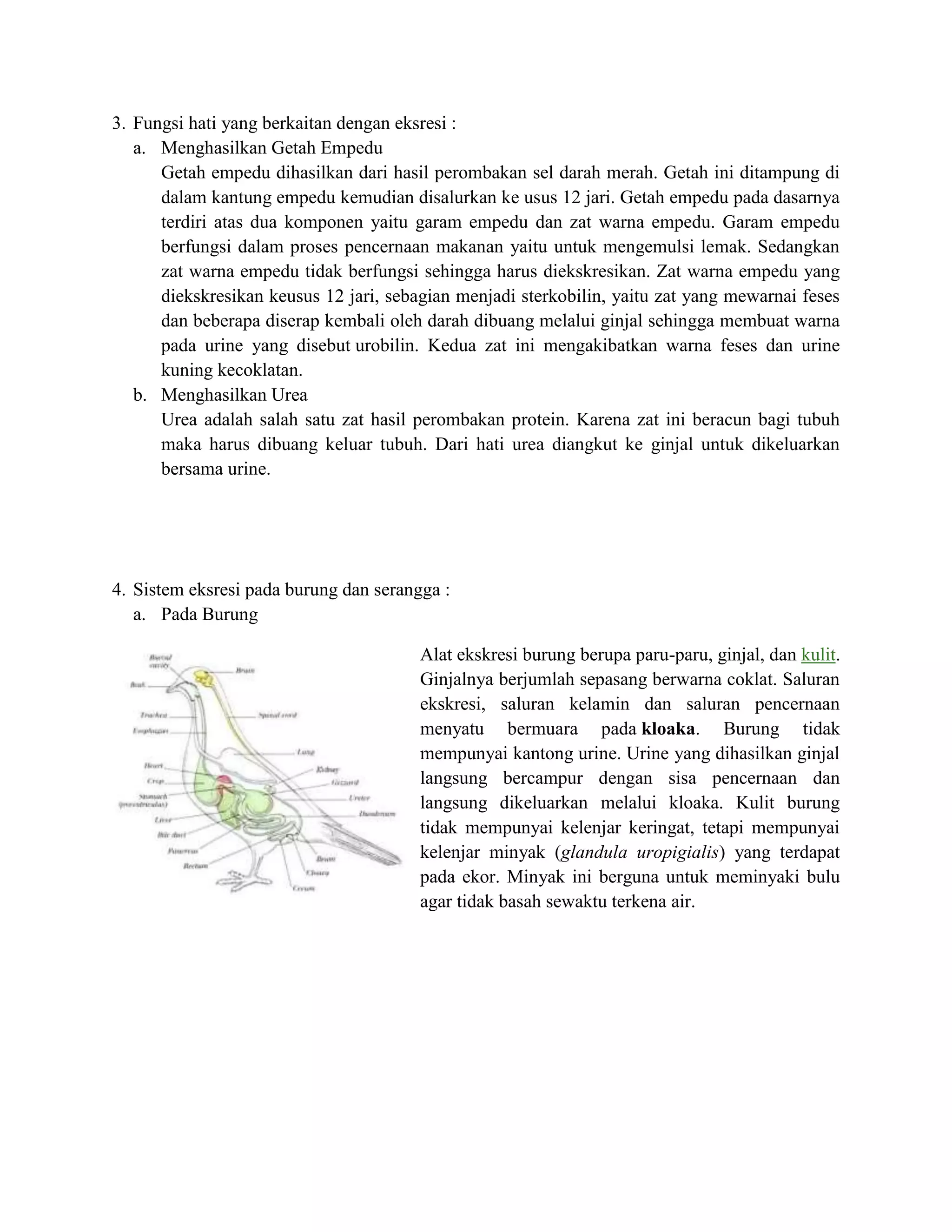 Tugas sistem ekskresi | DOCX
