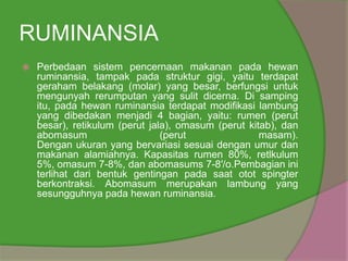 Tugas sistem pencernaan vertebrata | PPTX