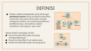 sitokin secara umum, definisi, penjelasan, klasifikasi.pptx