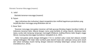 TUGAS TEKNIK LABORATORIUM KIMIA DASAR.pptx