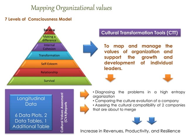 The Value-Driven Organization - Richard Barrett | PPT