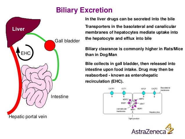 Kimia Medisinal_ADME