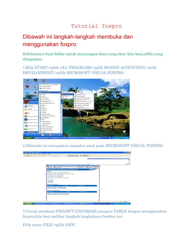 Tutorial langkah pembuatan data base menggunakan ms.fox pro | PDF