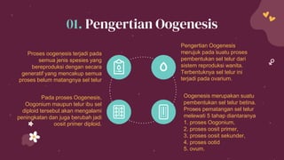 TUGAS UTS PPT KEL 3 - OOGENESIS.pptx