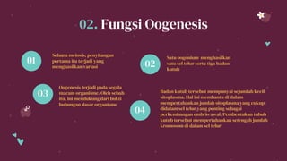 TUGAS UTS PPT KEL 3 - OOGENESIS.pptx