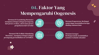 TUGAS UTS PPT KEL 3 - OOGENESIS.pptx