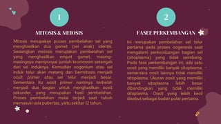 TUGAS UTS PPT KEL 3 - OOGENESIS.pptx