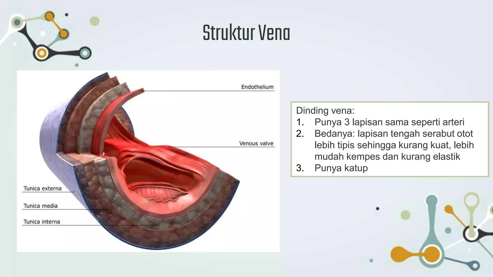 Tugas Vena dan Venous Return_Nurinayah(1).pptx