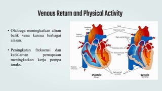 Tugas Vena dan Venous Return_Nurinayah(1).pptx