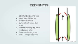 Tugas Vena dan Venous Return_Nurinayah(1).pptx