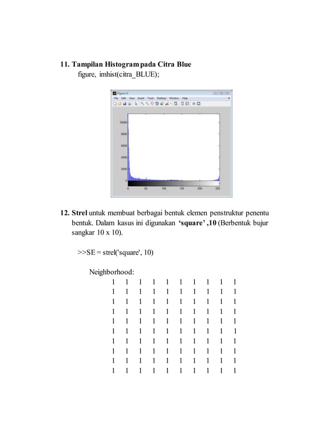 Pengolahan Citra Digital | DOCX