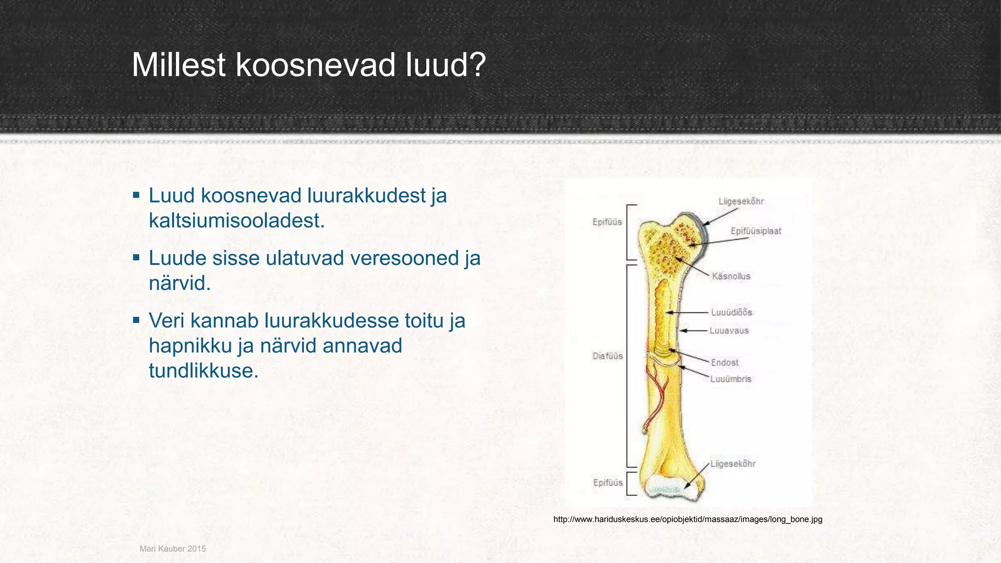Tugi ja liikumiselundkond | PPTX