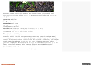 Tuinkalender wordpress com_maart | PPT