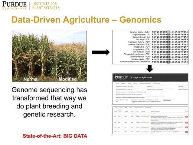 Next Generation Phenotyping Technologies in Breeding for Abiotic Stress ...