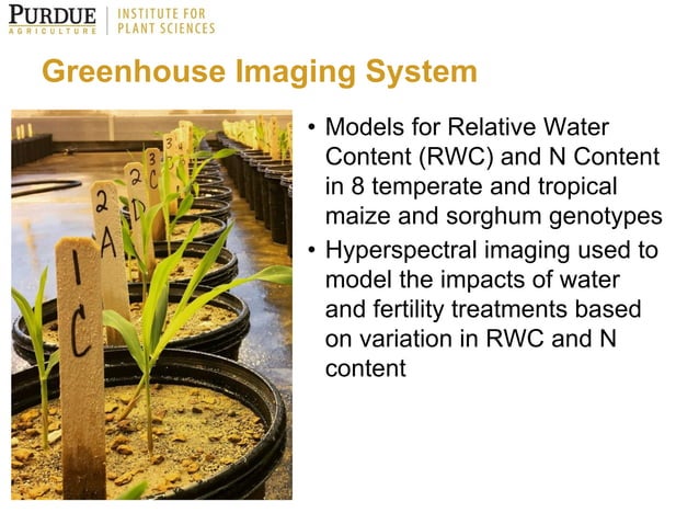 Next Generation Phenotyping Technologies in Breeding for Abiotic Stress ...