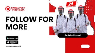 TUJUAN DISINFEKSI | HP 0813-1344-4221 | GARDA PEST BANDUNG | PPT