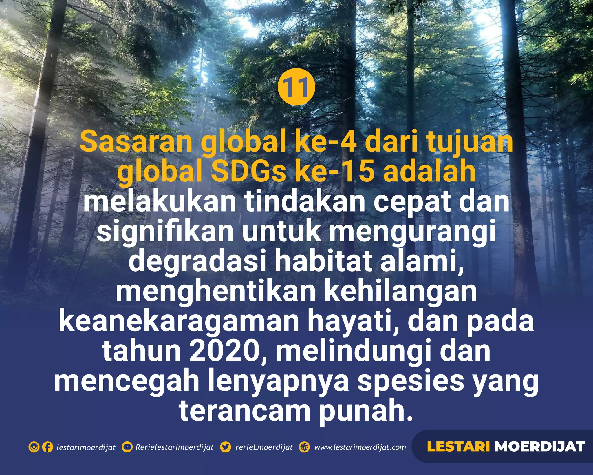 Tujuan Global SDGS Ke-15 | PDF