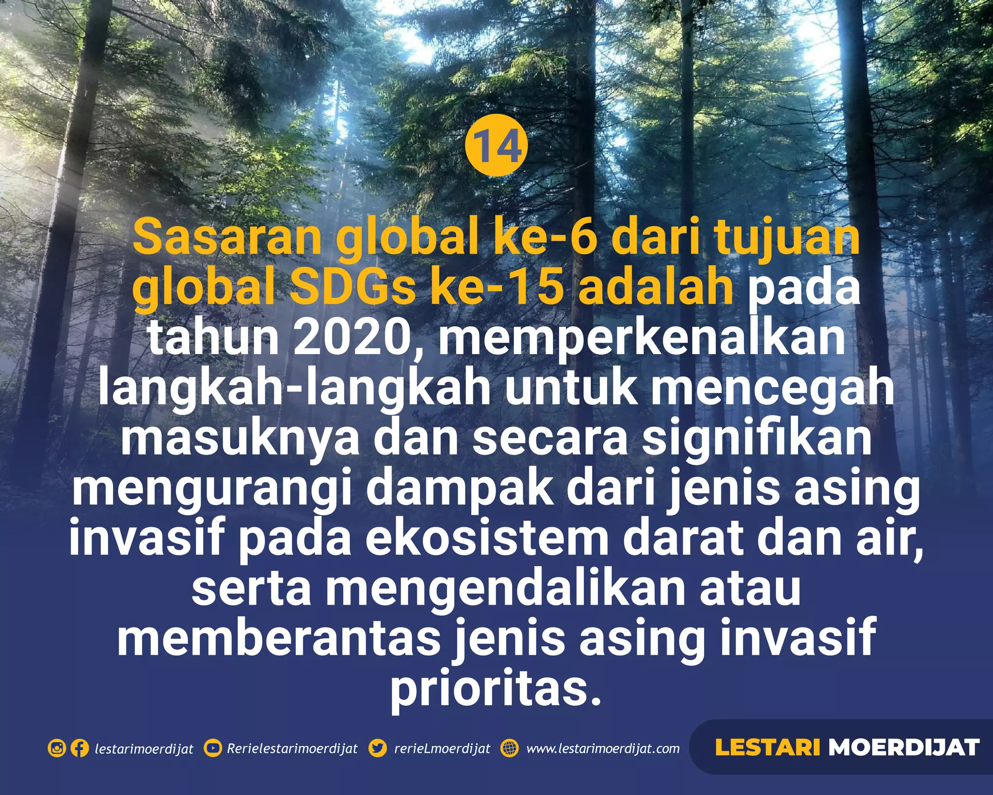 Tujuan Global SDGS Ke-15 | PDF