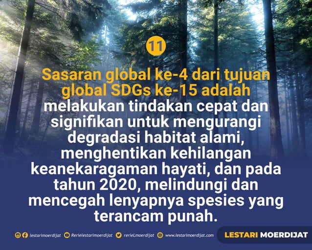 Tujuan Global SDGS Ke-15 | PDF