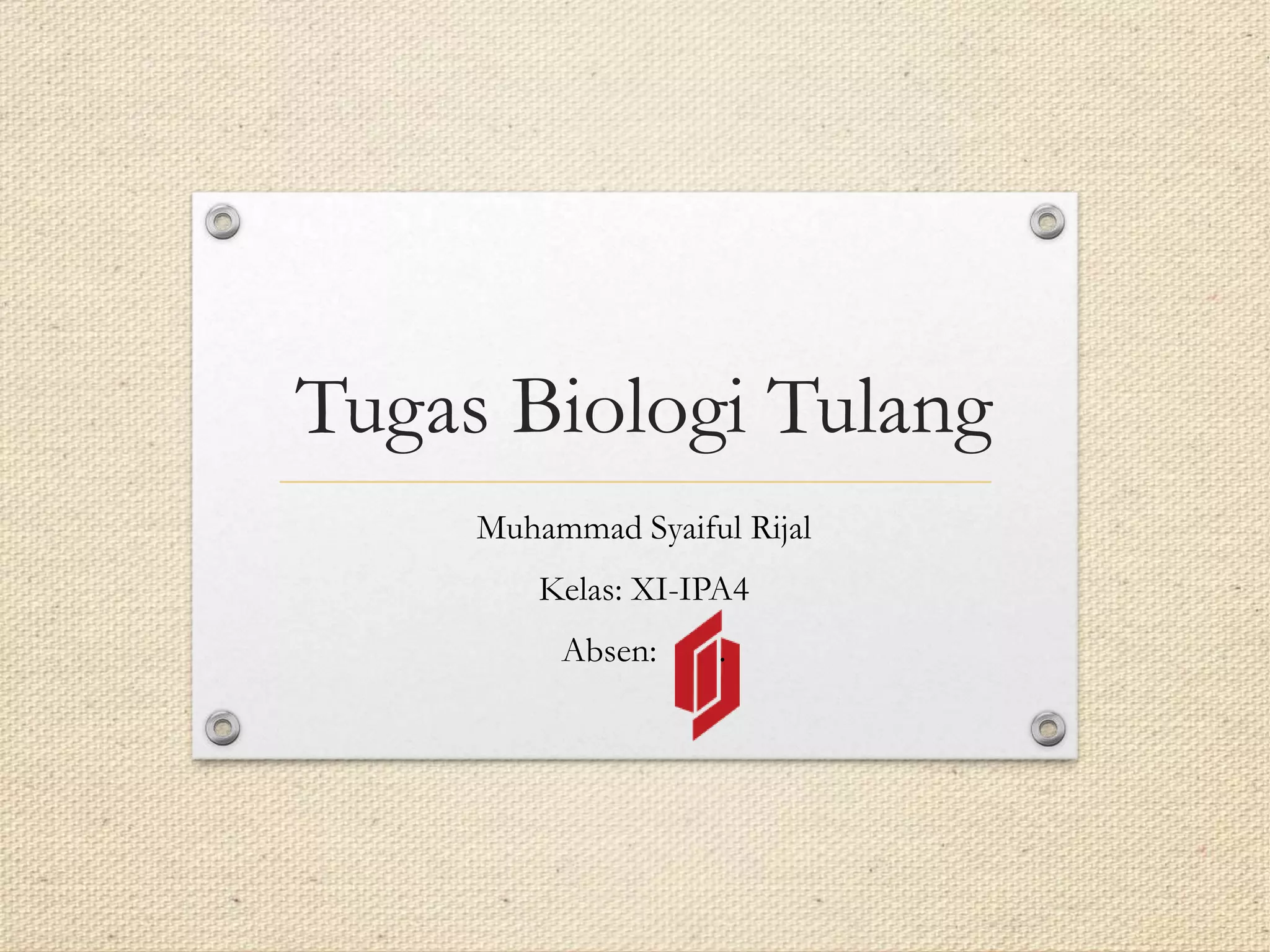 Struktur Tulang | PPTX