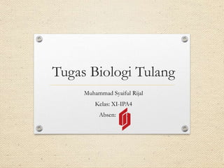 Struktur Tulang | PPTX
