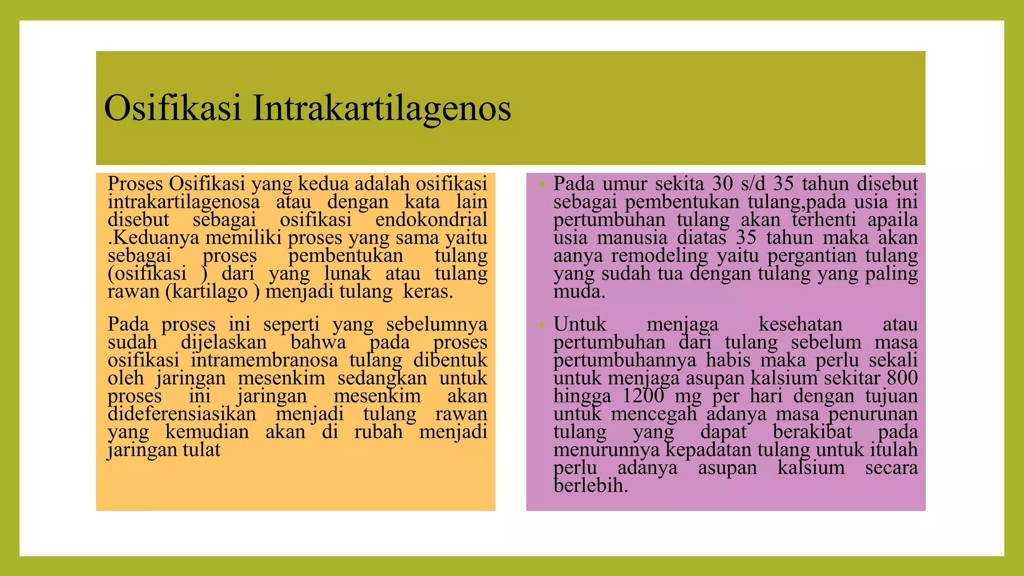 TULANG.pptx